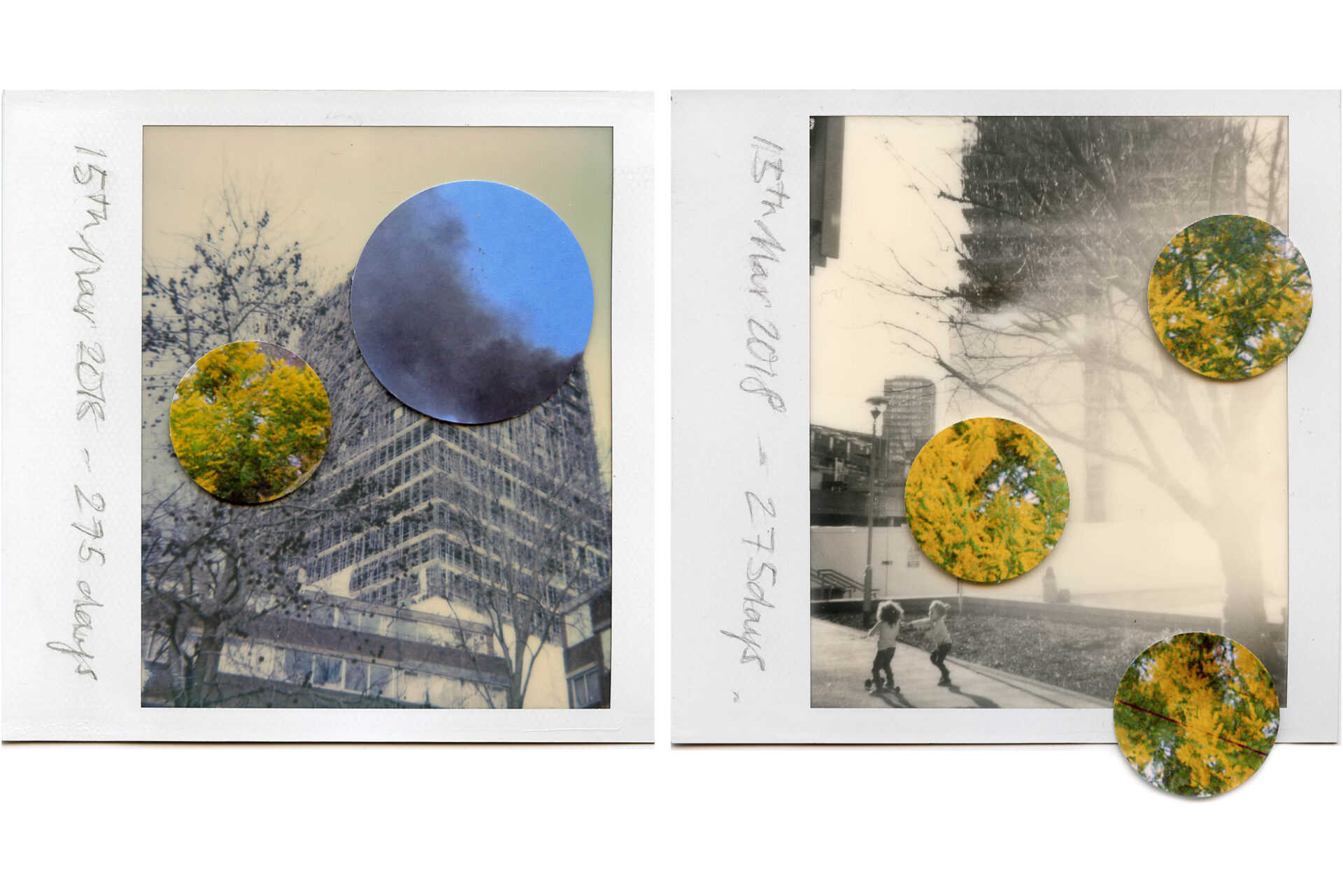 POLAROID PAIR 1 – Steve Mepsted